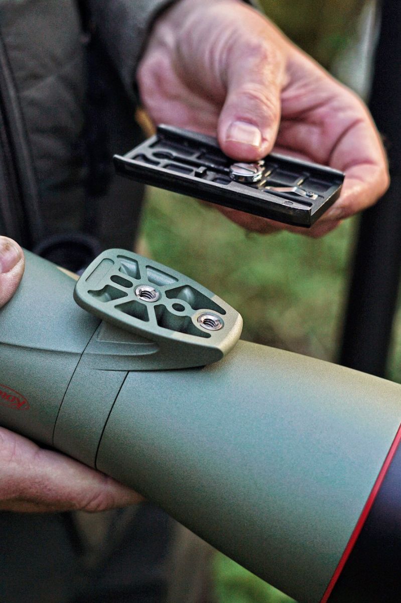 Ace Optics - Binoculars, Spotting Scopes and Accessories