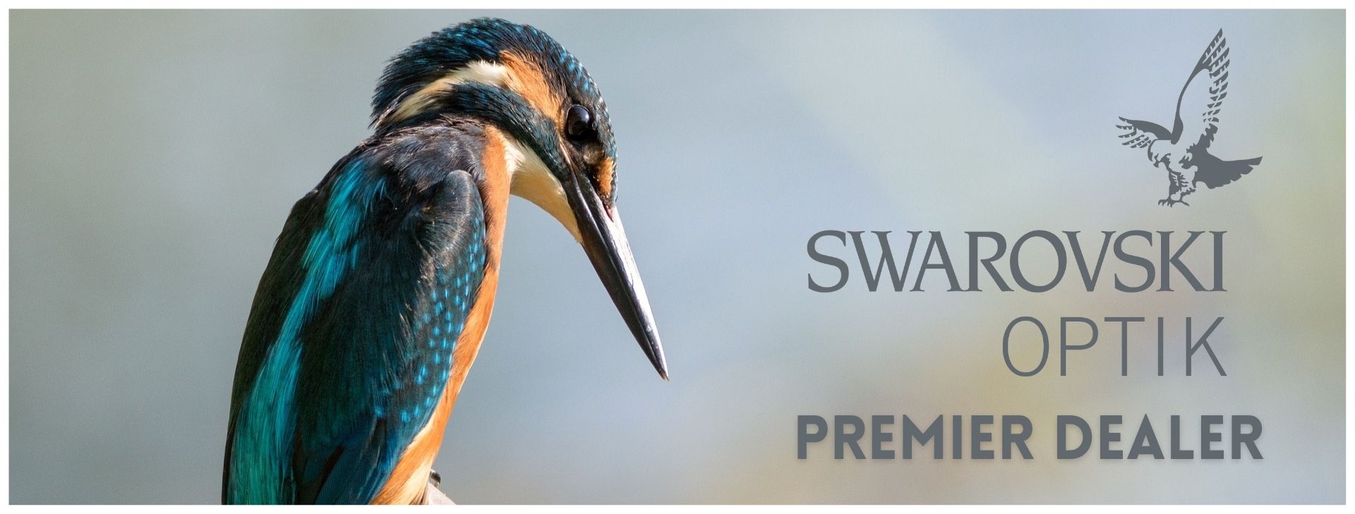 Swarovski at Ace Optics of Bath, Swarovski Premier Dealer