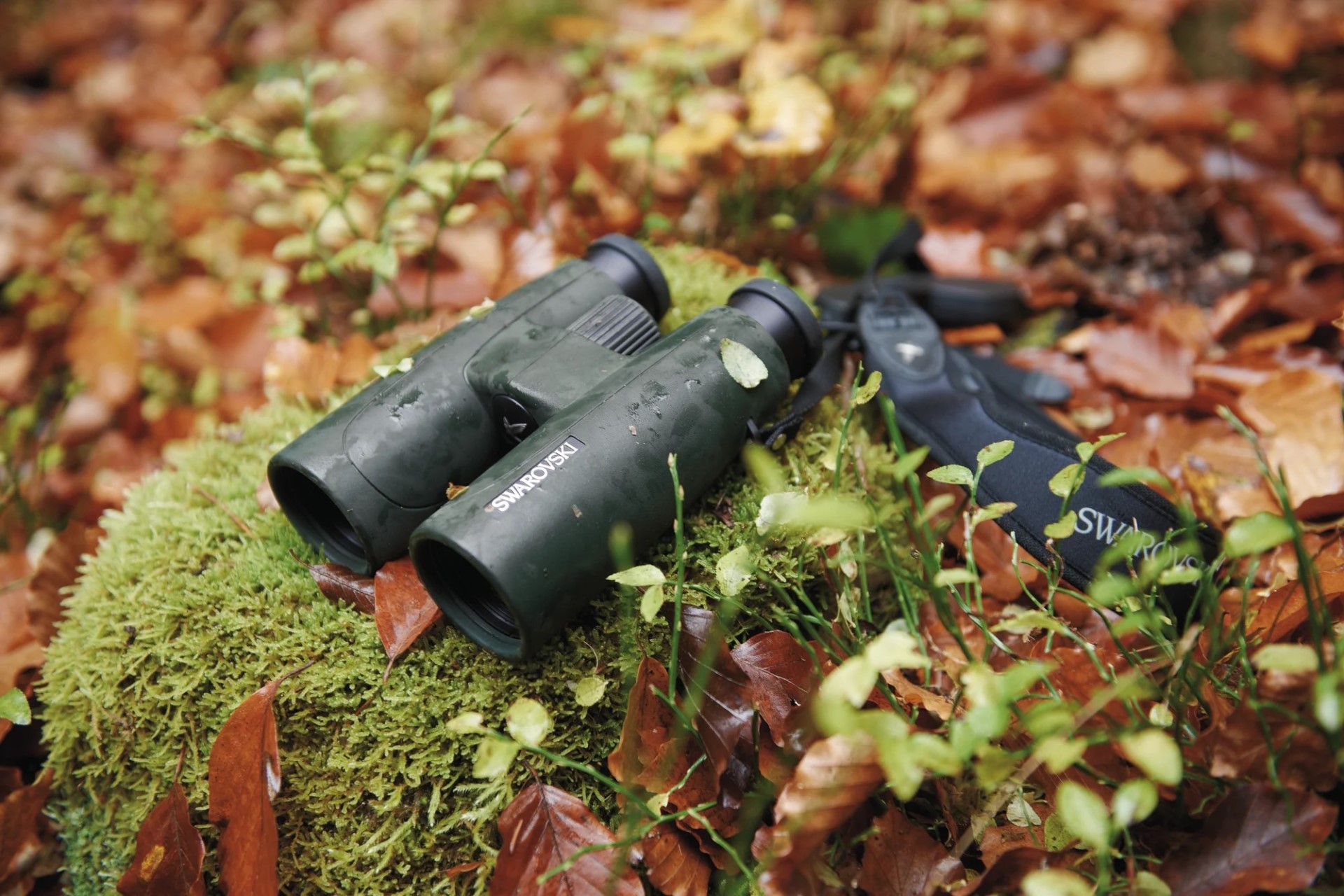 Buy Swarovski SLC 15x56 W B Binoculars from Ace Optics, Swarovski ...