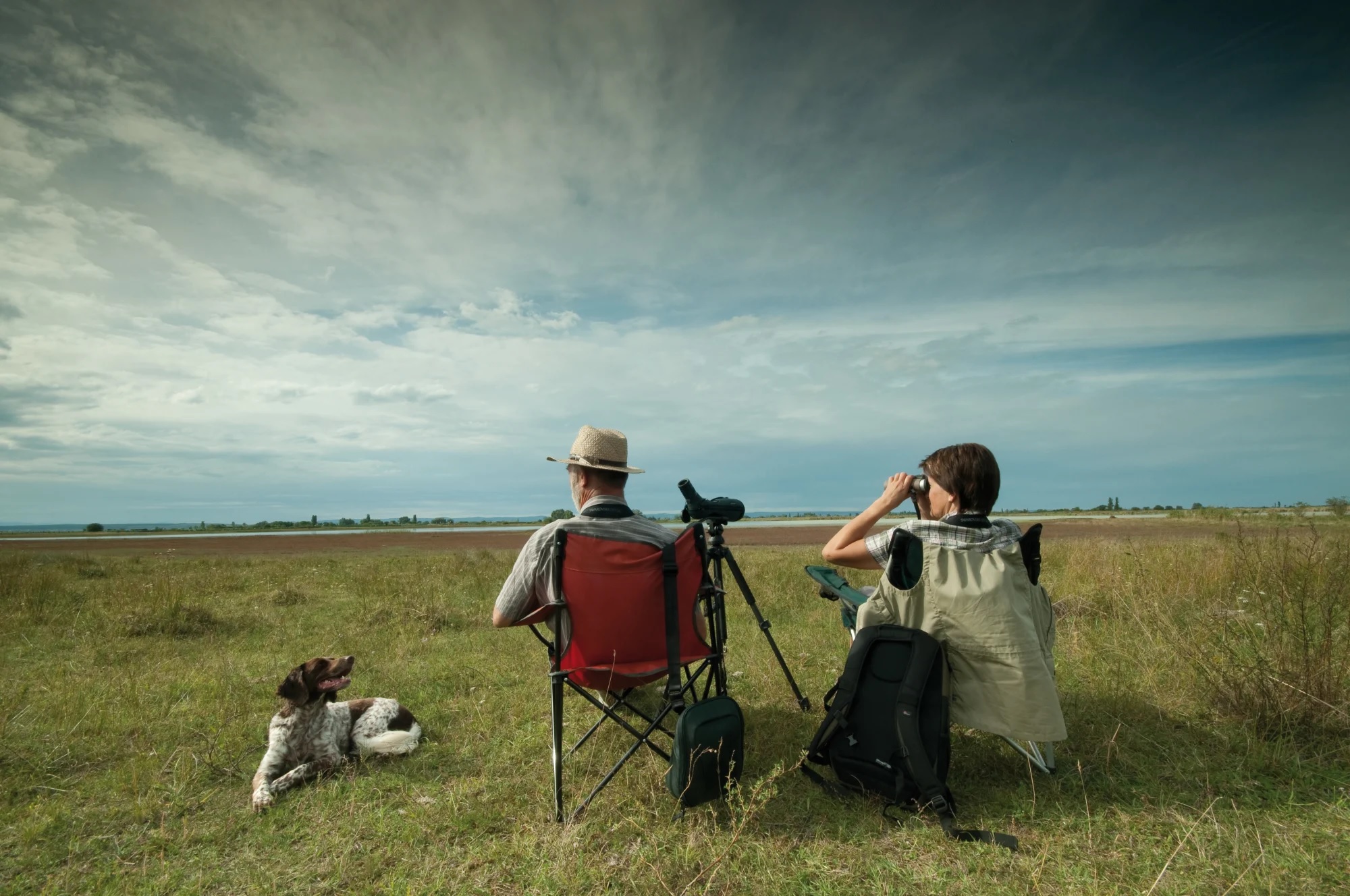 Swarovski ATS 80 HD Spotting Scope (Body Only)