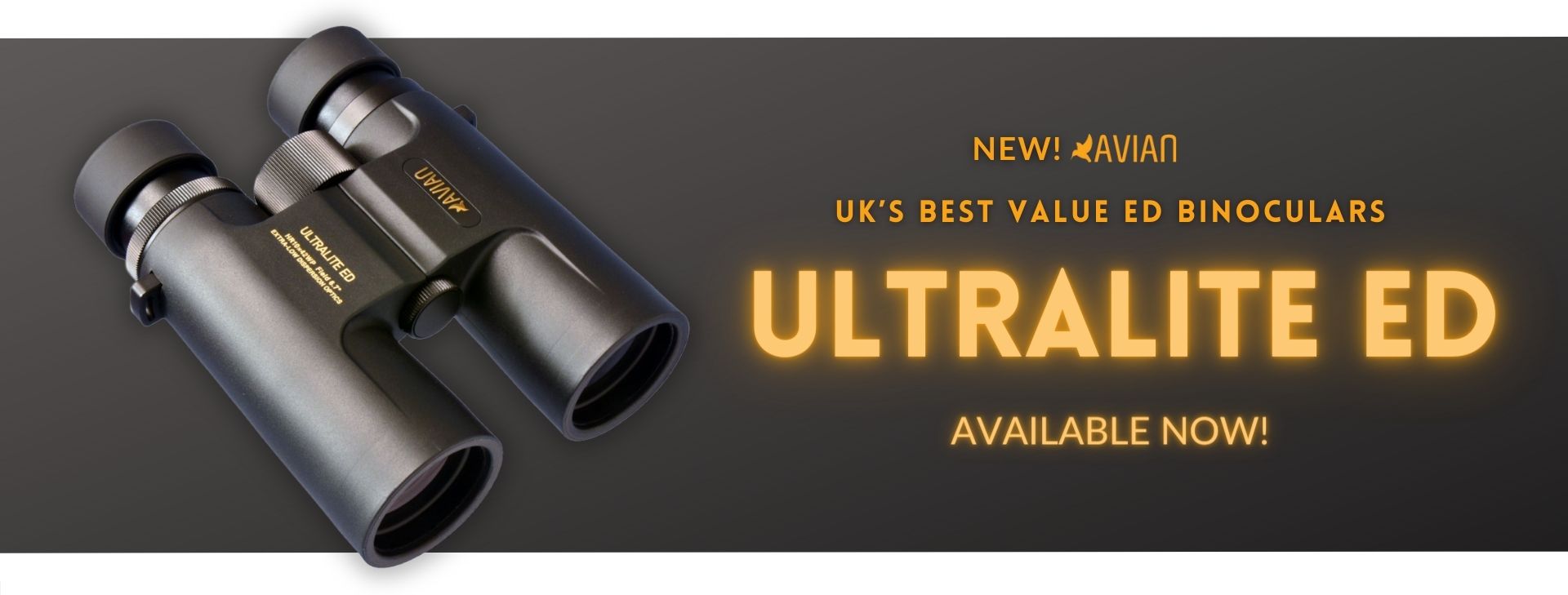 Welcome to Ace Optics